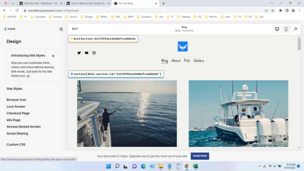 How to Remove Site Header Squarespace - WareData | Tech enthusiast