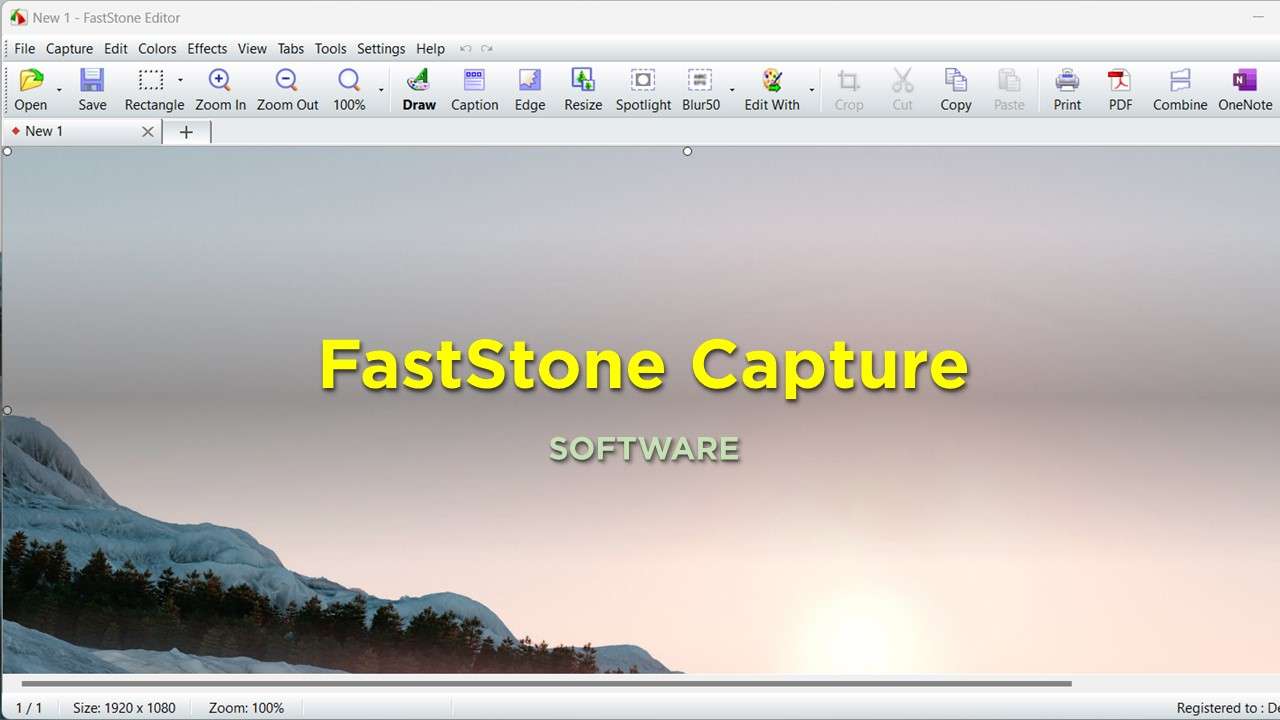 FastStone Download - WareData | Tech enthusiast
