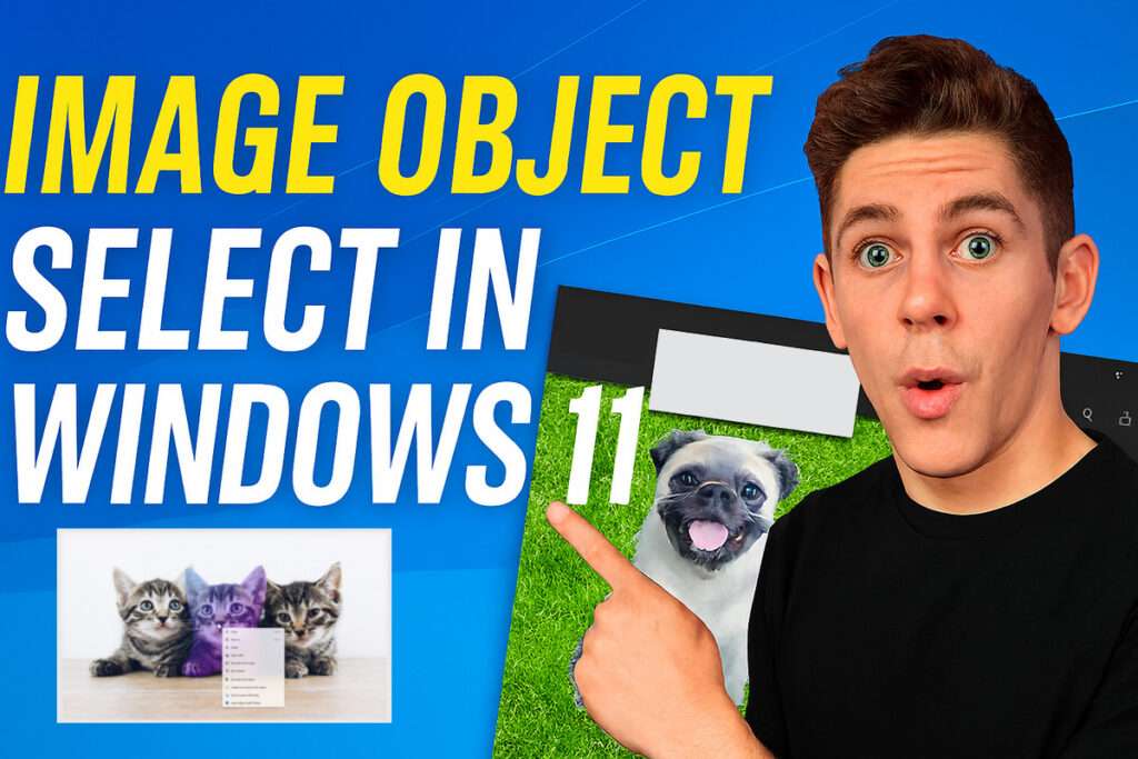 Windows 11 Has a New Feature 'Image Object Select' What's Its Function?